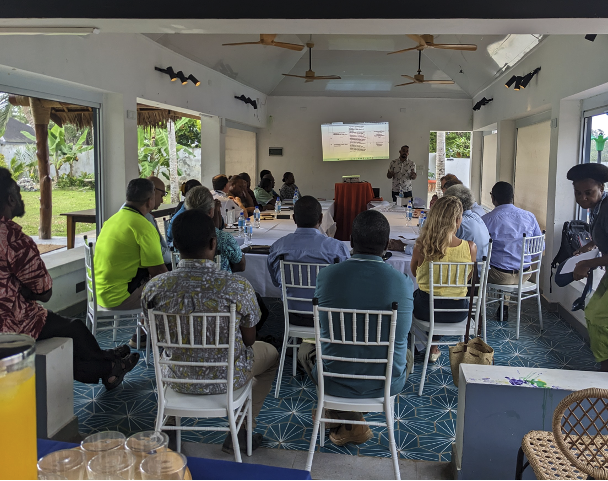 Smart Villages and Smart Islands - Asia Pacific