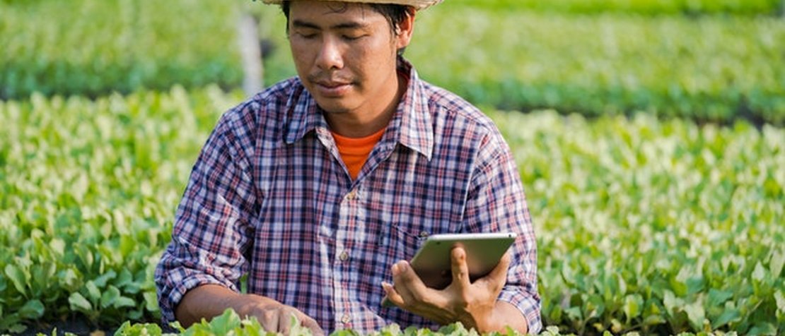 Accelerating digital rural transformation as FAO turns 75 - ITU Hub
